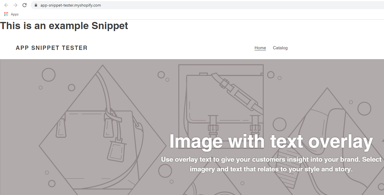 How To Create App Snippets from Shopify Apps to Shopify Stores - WeeklyHow