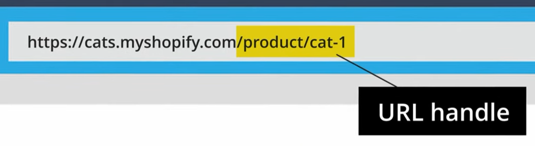 Shopify Liquid Programming Tutorial: Learn How Themes Work - WeeklyHow